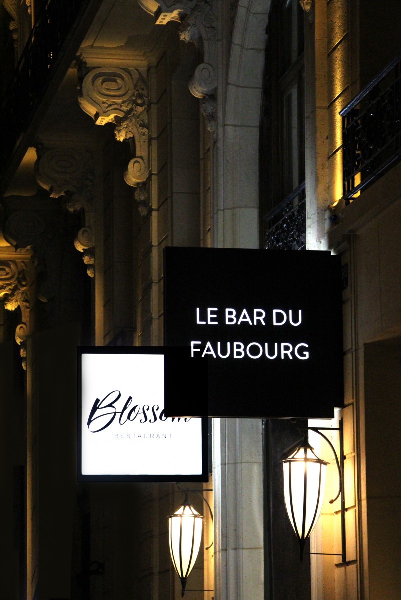 Sofitel Paris Le Faubourg - RIMG_1289